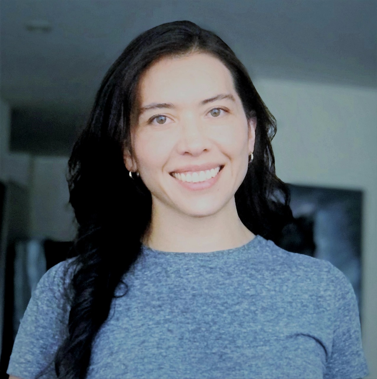 Mariana Matamoros, autor en IberICONnect