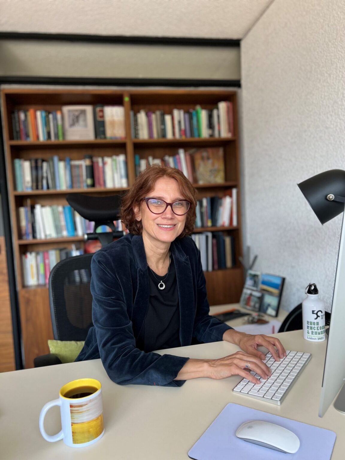 Karina Ansolabehere - IberICONnect